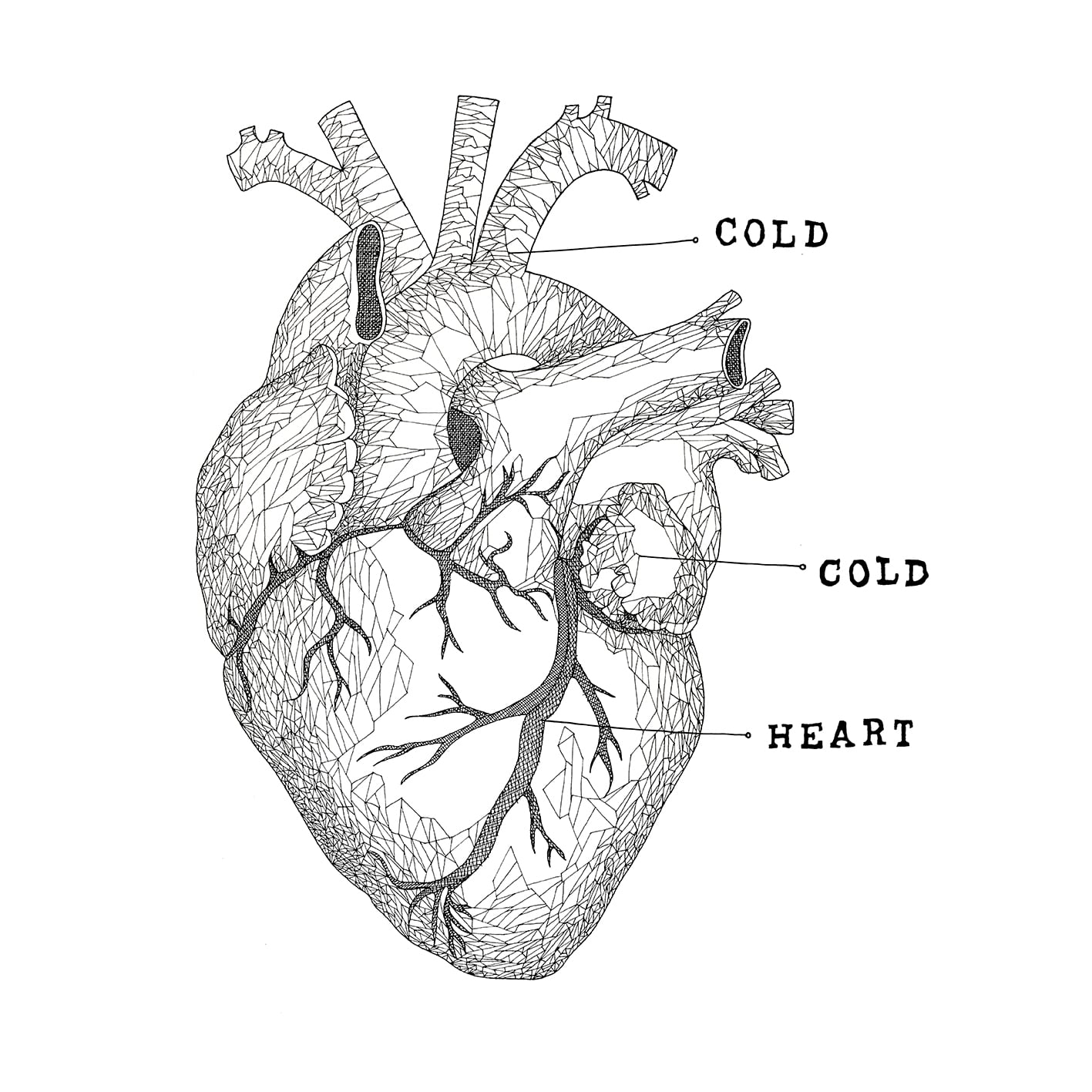 This Week's Favorite: Cold, Cold Heart and El Capistan - Strymon