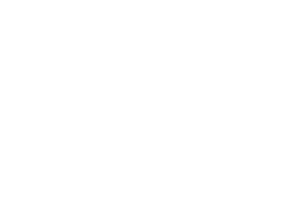 Lex V2 Rotary Modulation - Strymon