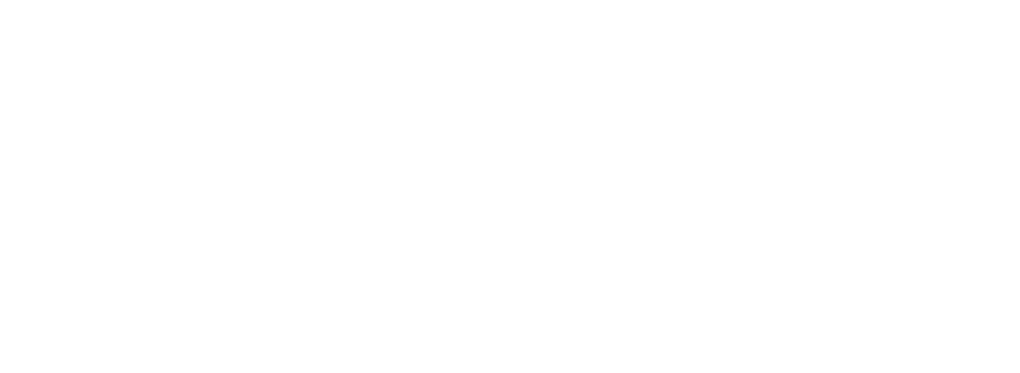 Echo Plugin Bundle - Strymon